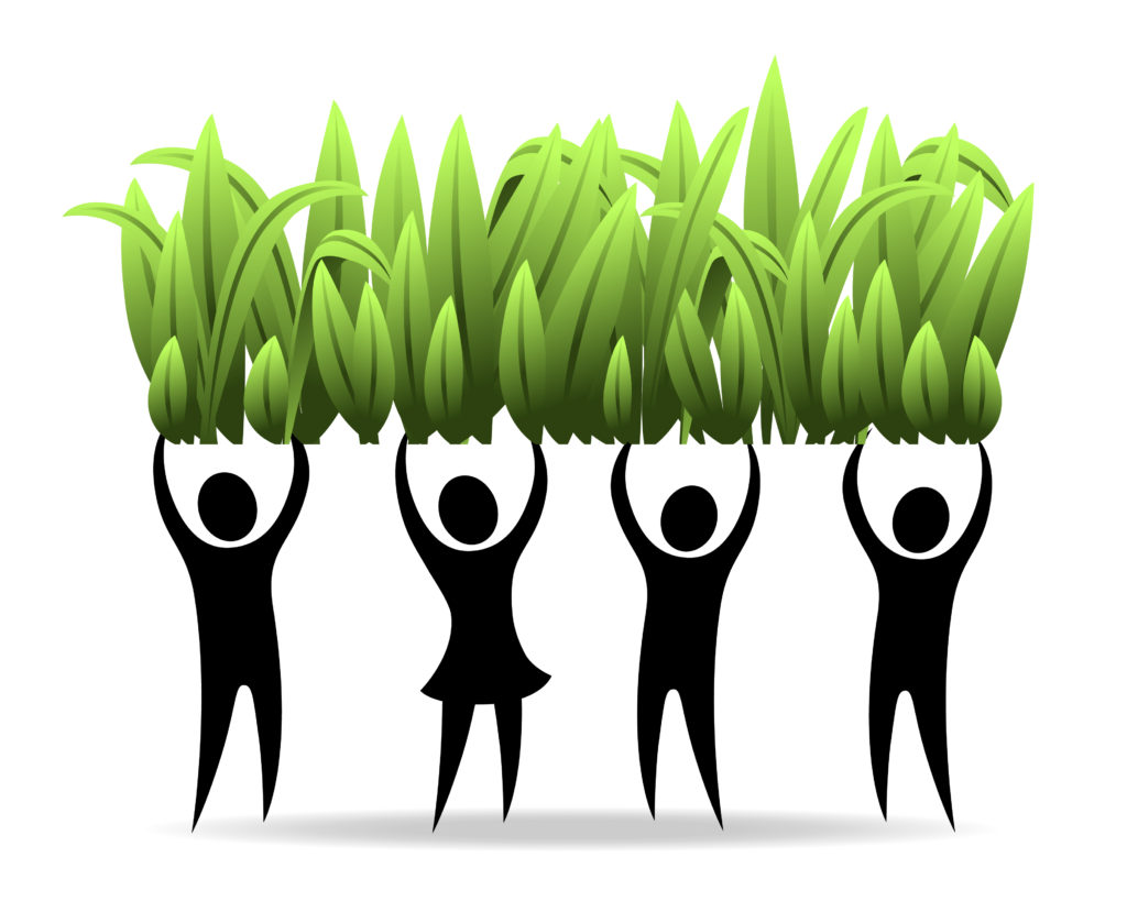 Grassroots Trainers Network Rhizome